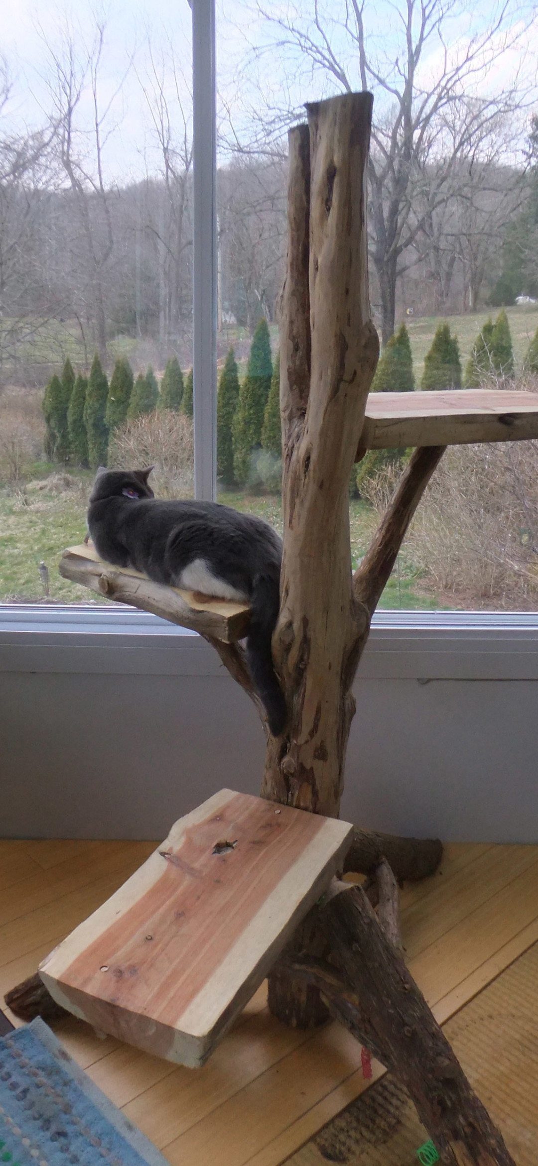 log arbors | Devine Escapes | natural branch artistry and construction